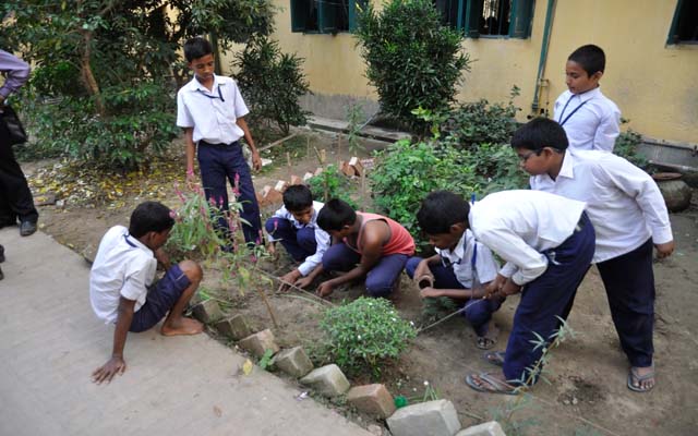 Write a report on Tree Plantation Programme | Sunshine Coaching Institute