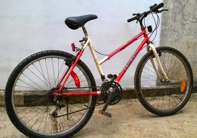 GROSIR SEPEDA FEDERAL di JAKARTA: FEDERAL WILD CAT