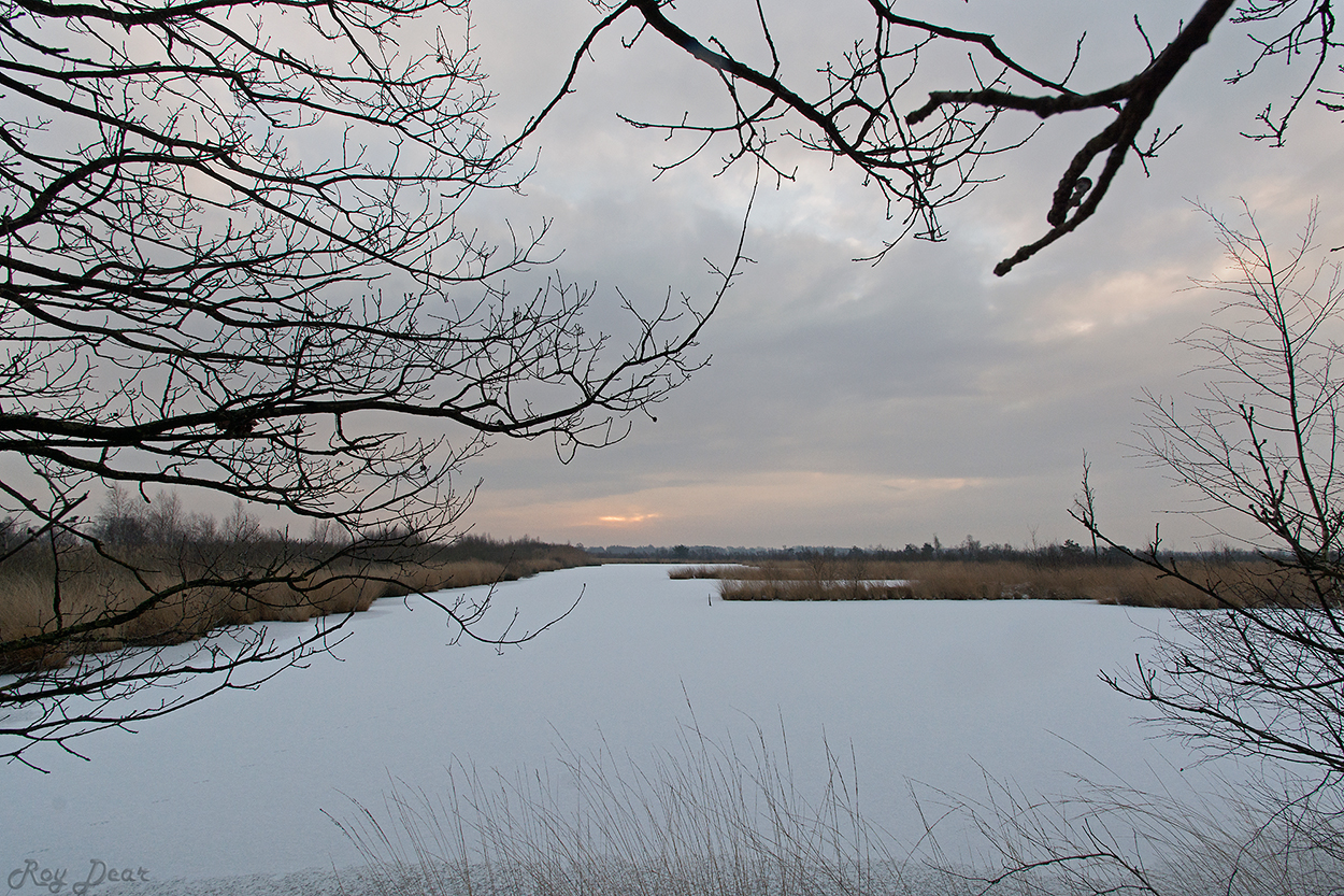 Foto's: Haaksbergerveen in de winter