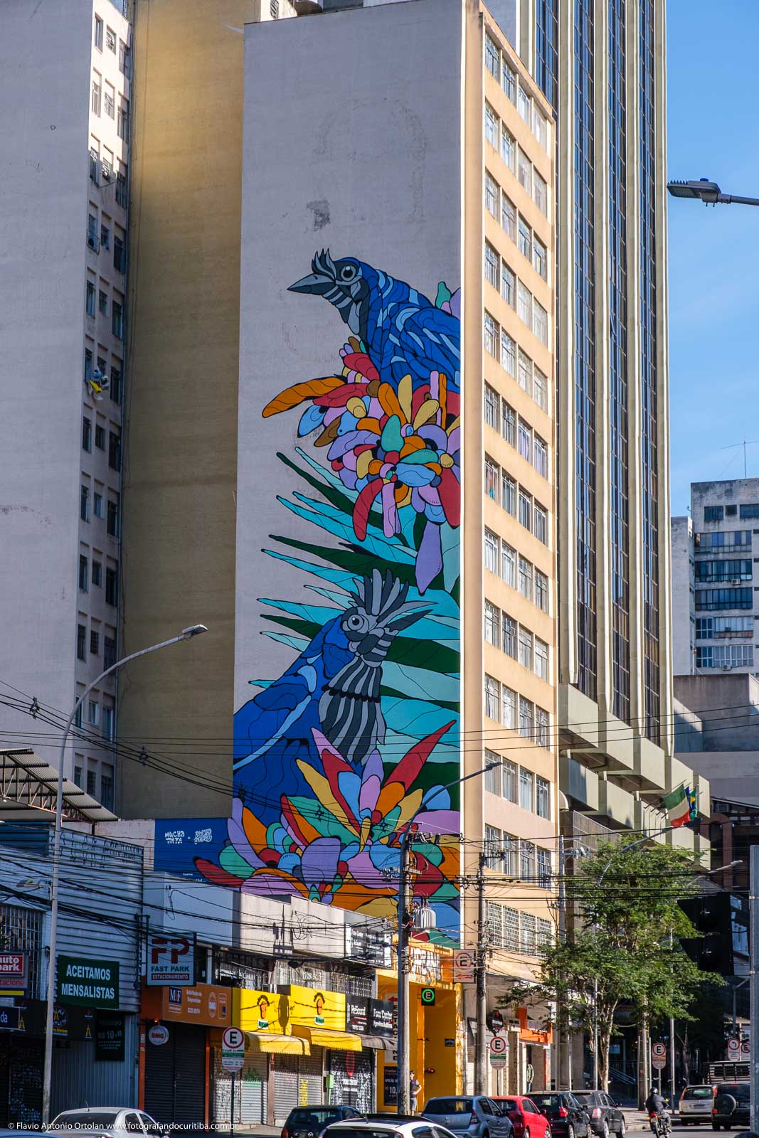Fotografando Curitiba: Um mural paranista