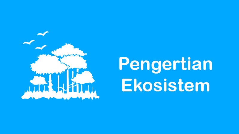 Pengertian Ekosistem Lengkap Beserta Komponen dan Jenis-jenisnya - Pijaria
