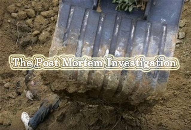 Cadaver, Cadaveric Spasm, Post Mortem and Ante Mortem. ~ How to Style