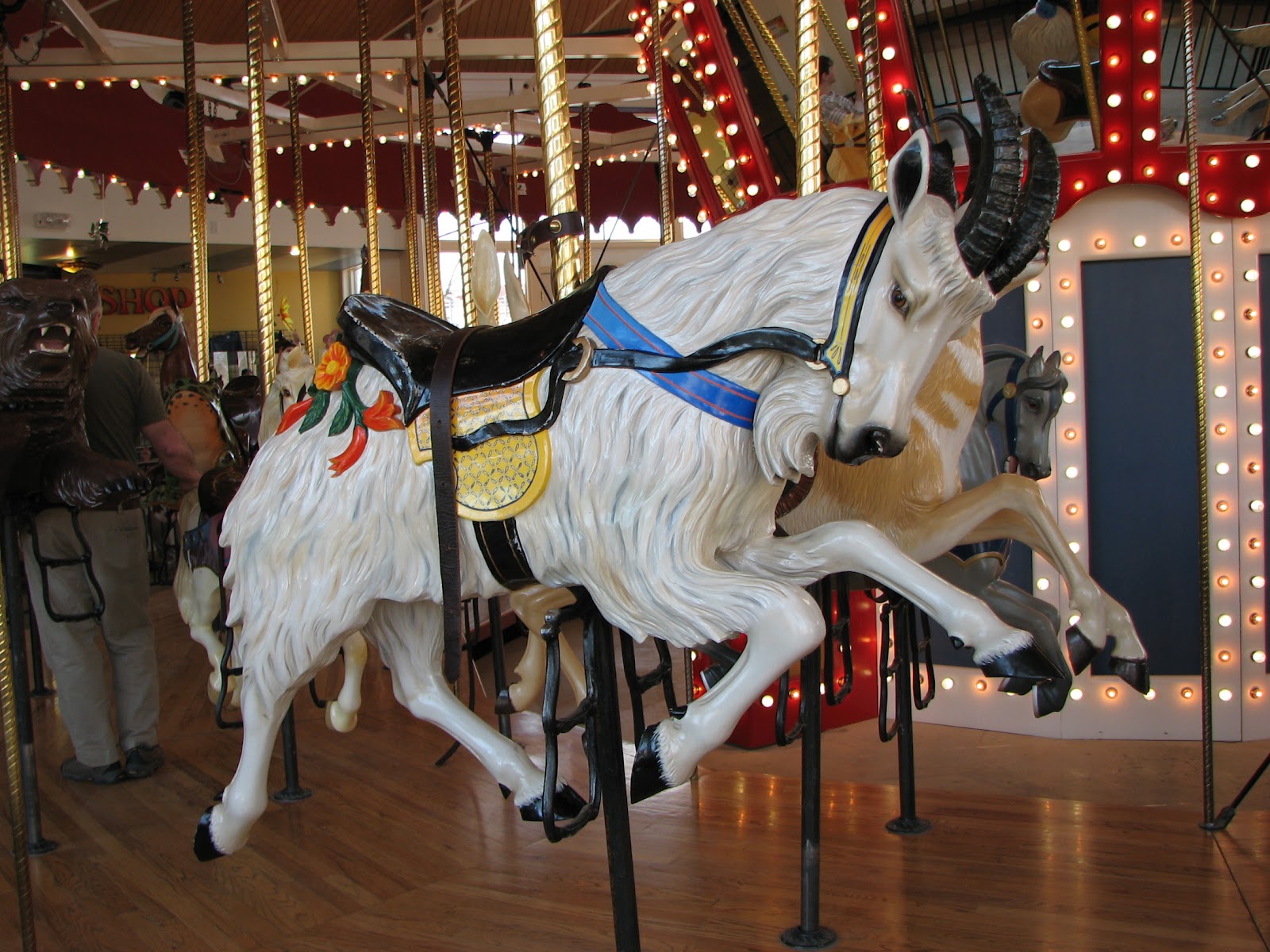 Rena Jones: Great Northern Carousel