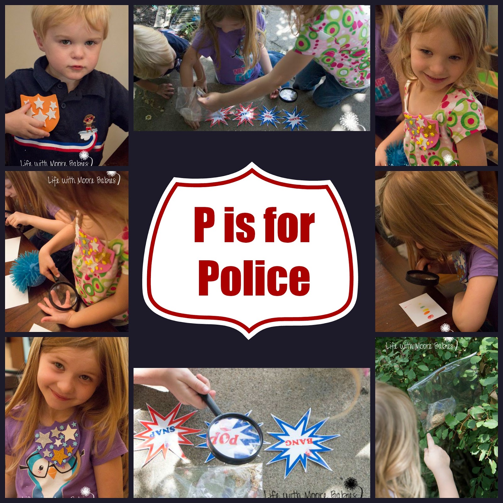 Learn about Investigating with the Community Helper for P - Life with ...