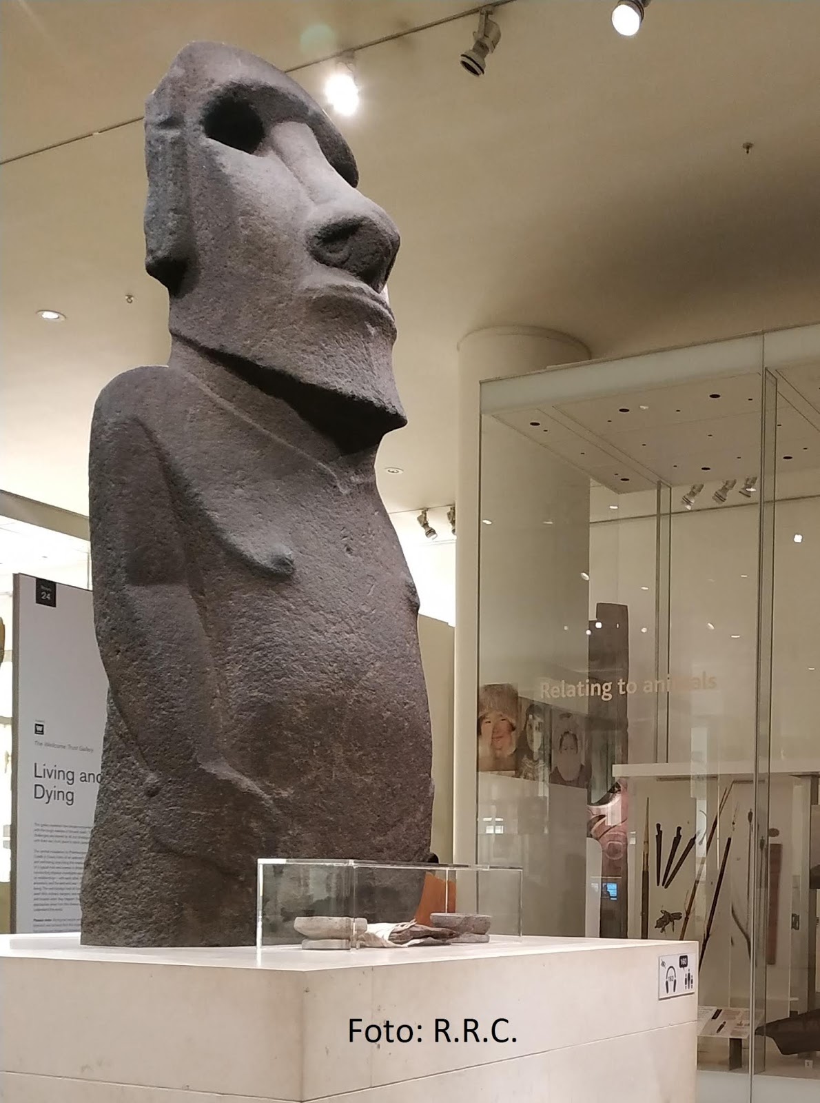 Geografía, Historia y Arte: UN MOAI EN EL MUSEO BRITÁNICO