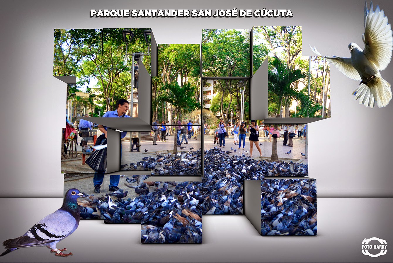 Foto Harry Cúcuta: Parque Santander Cúcuta
