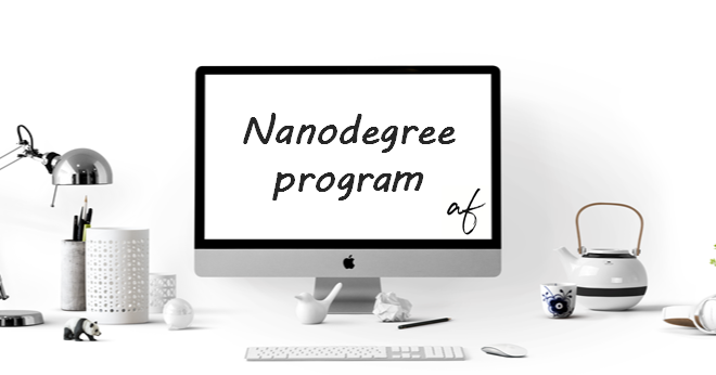 Sir. Ahmad Fady: Nanodegree Programs & Courses