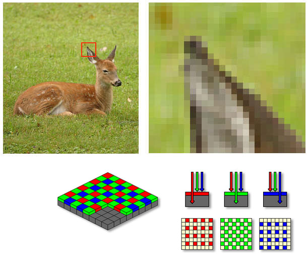 Foto e Arte: Megapixels