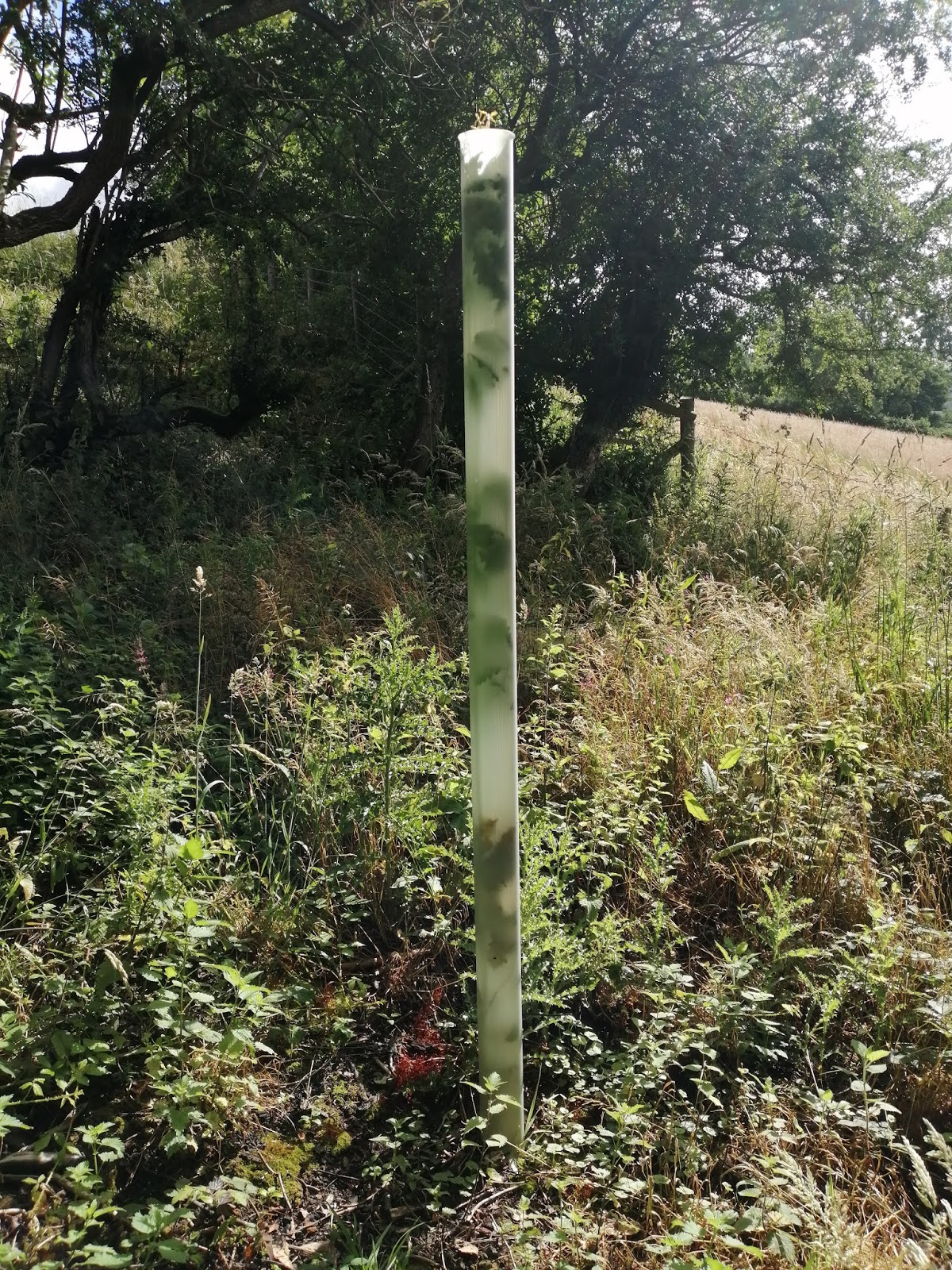 Phil Cull Wildlife Photography: 2020