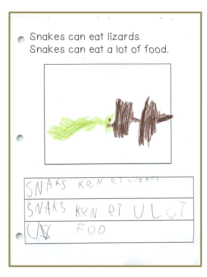 Joyful Learning In KC: Animal Research Writing