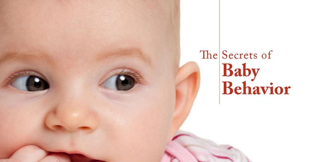 Secrets of Baby Behavior: Tired of Looking Through our Blog for the Basics?