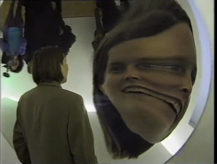 architectural videos: Sarah Lucas: Two Melons and a Stinking Fish ...