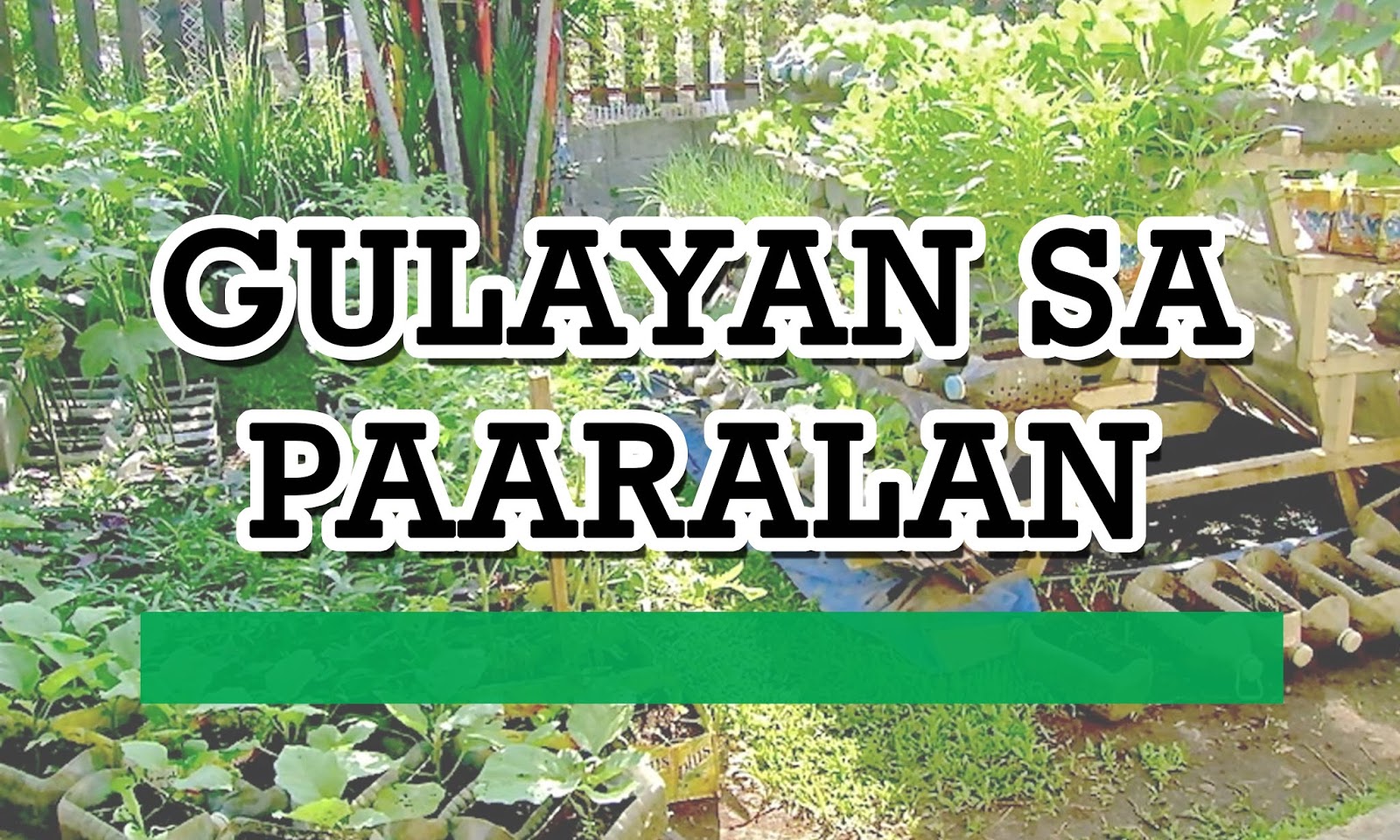 Gulayan Sa Paaralan Layout