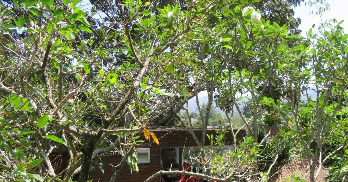 Visiting Selasar Sunaryo Artspace