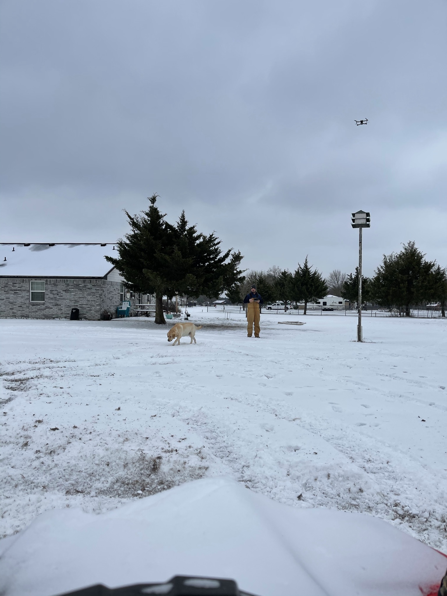 {Texas Snowpocalypse // 2021} - HALL AROUND TEXAS