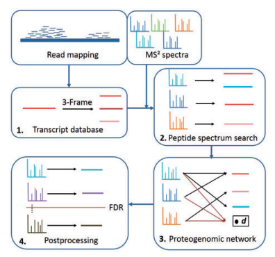 News in Proteomics Research: We know too much about biology to rely on ...