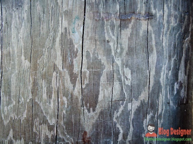 Texture gỗ và tường đẹp cho Designer | Blog Designer | Website | Lập ...