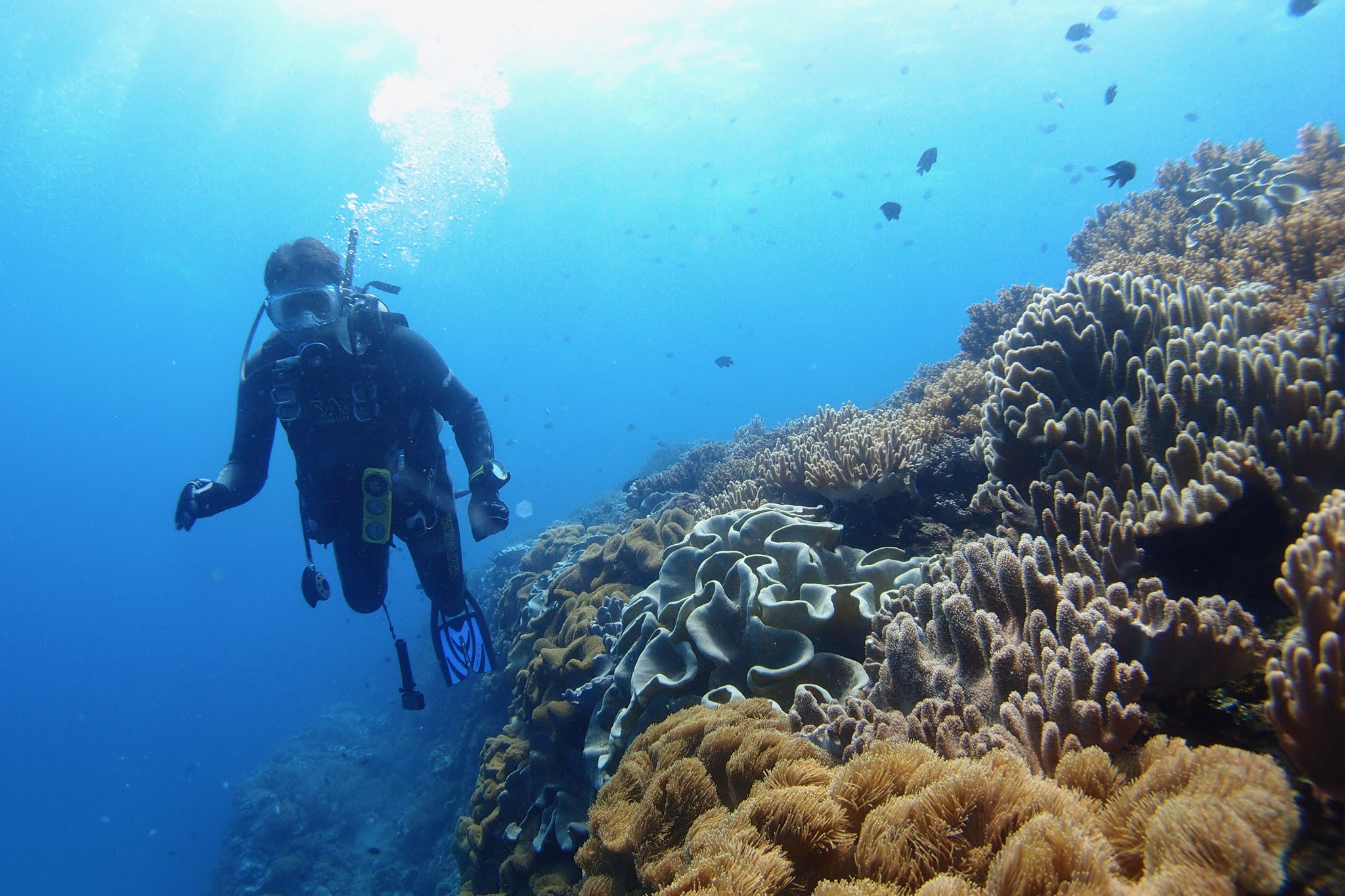 OKINAWA 39ers Dive Log: Jun 3rd - Sunabe Seawall