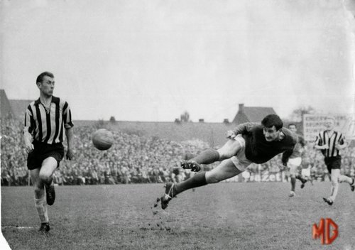 Roger Claessen - Alchetron, The Free Social Encyclopedia