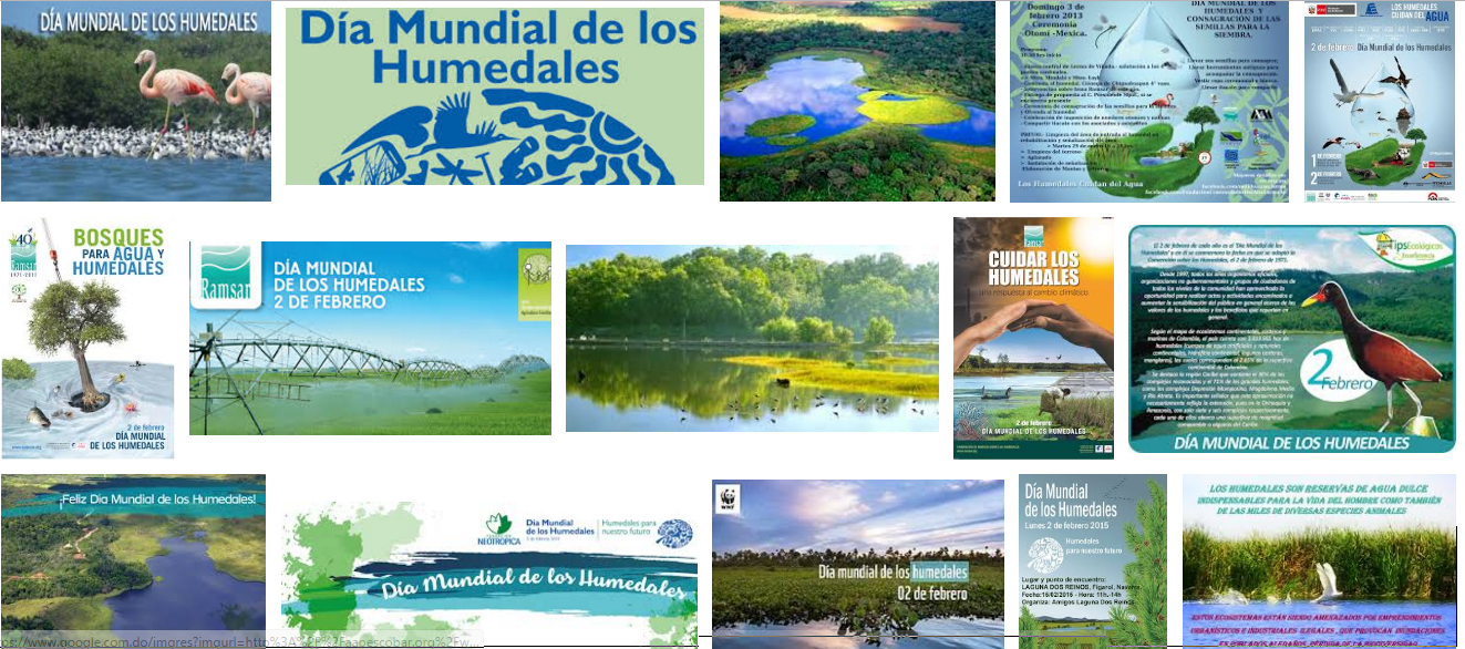 2 de Febrero- Día mundial de los Humedales