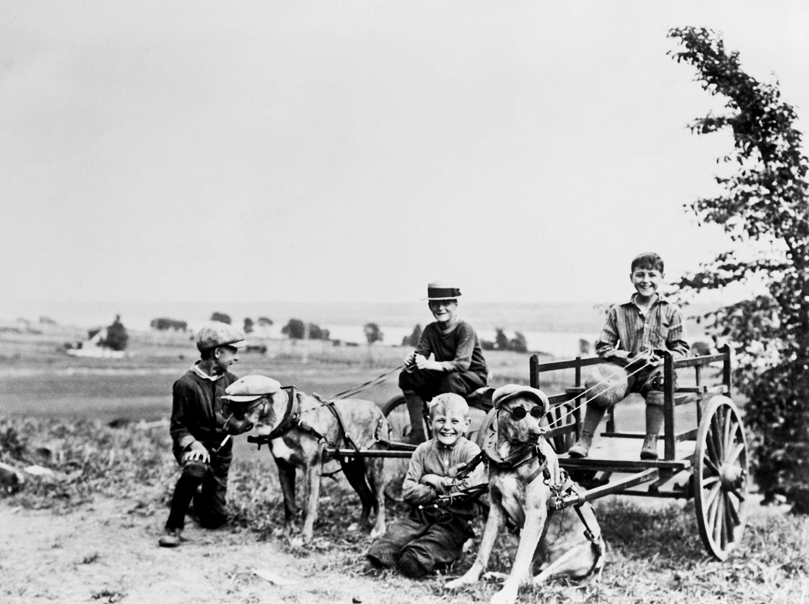 History in Photos: Detroit Publishing - Kids