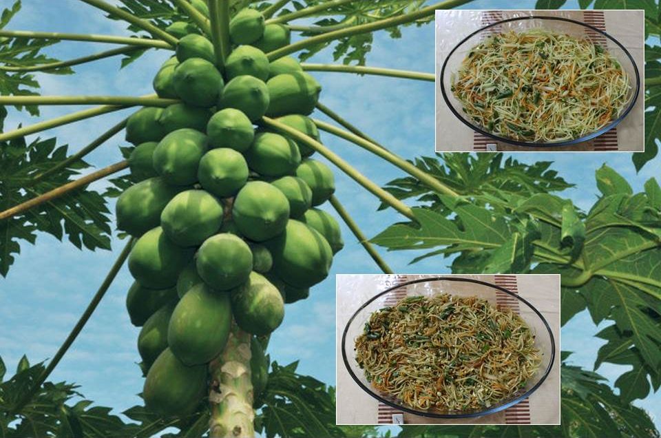 Raghu's column!: We Love Trying Out Different Cuisines And Restaurants!