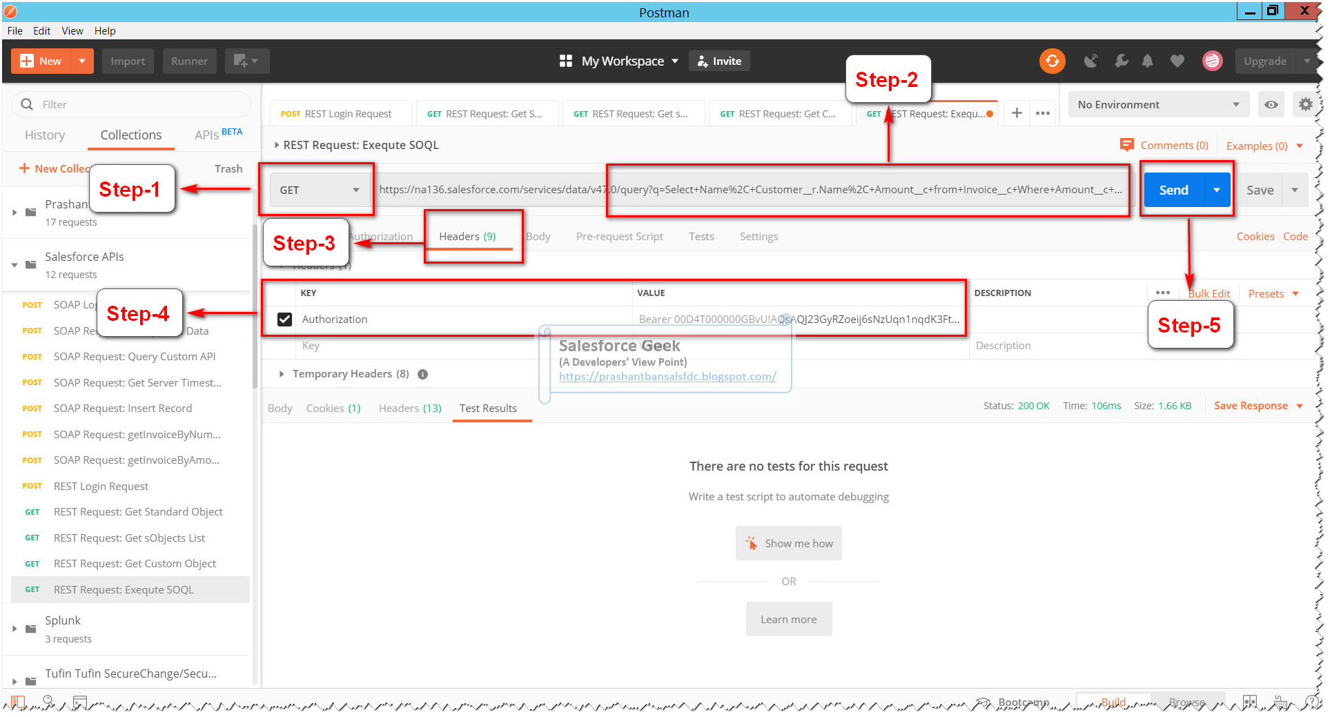 Salesforce REST API: How to Execute SOQL Queries using REST APIs