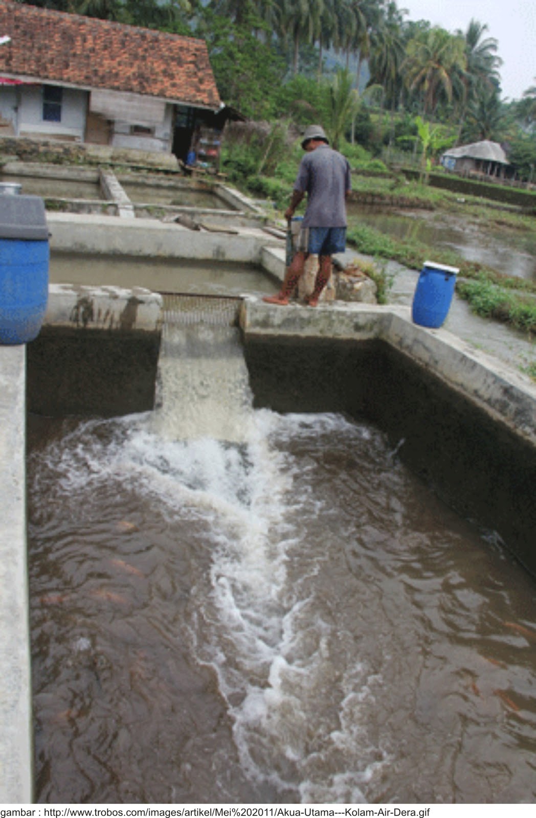 Wadah Budidaya Perikanan : Kolam Air Deras - Lalaukan