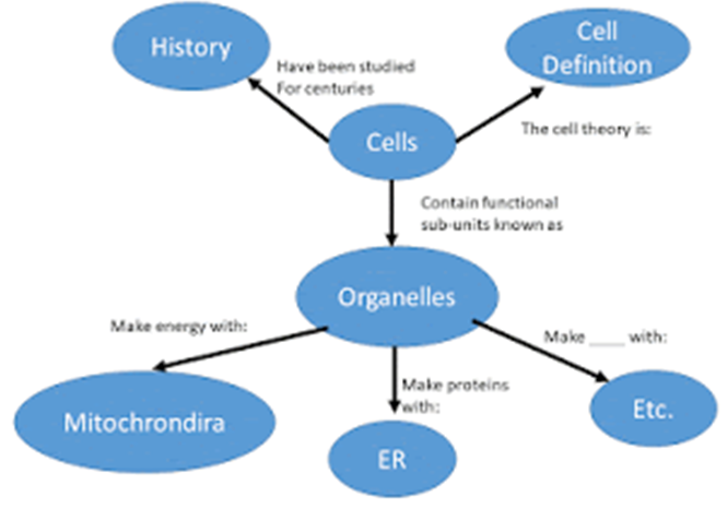 Improve Your Learning And Memory Lesson 6 Concept Maps Improve Your Learning And Memory Lesson 6 Concept Maps