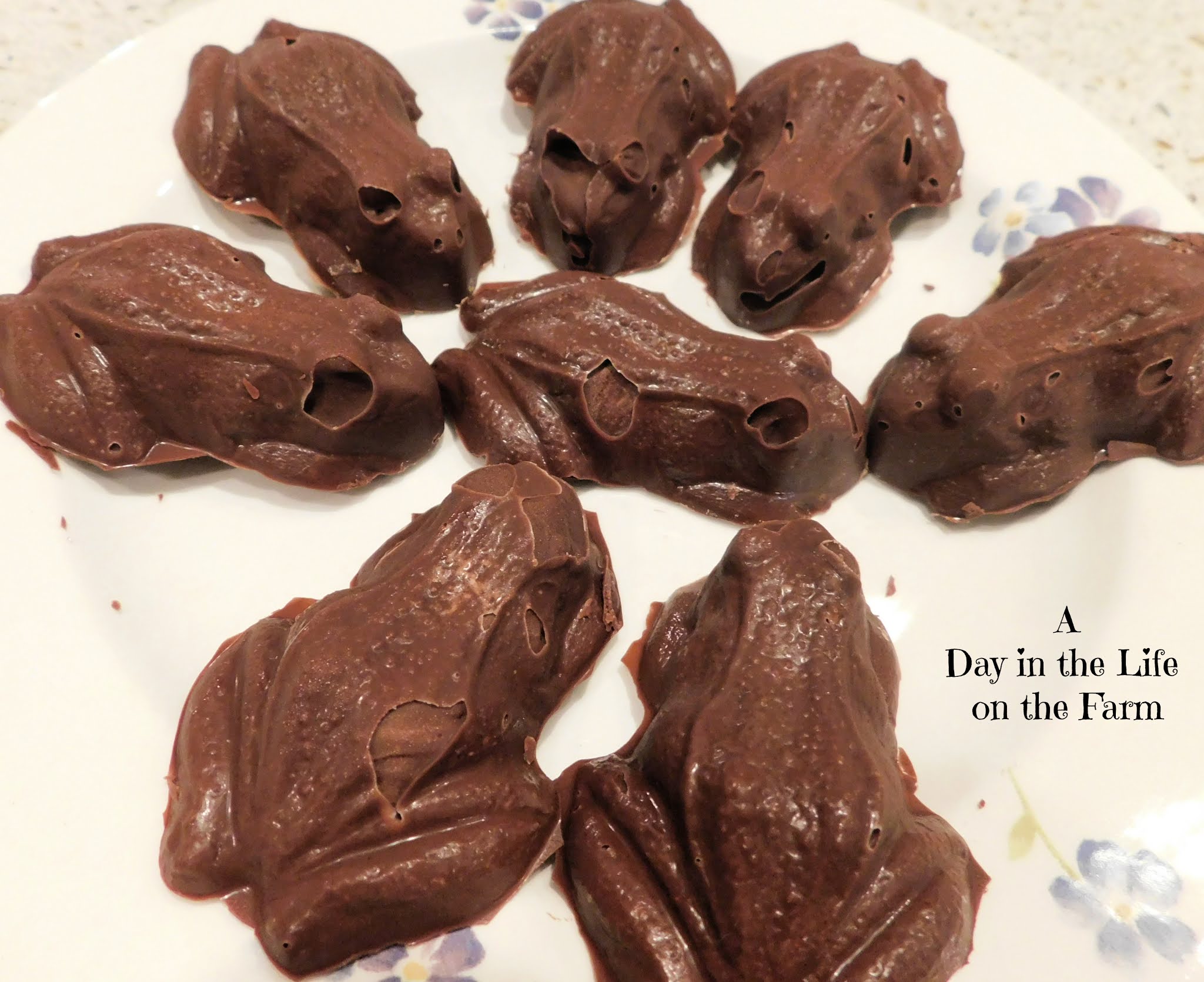 A Day in the Life on the Farm: Chocolate Frogs ala Harry Potter #FoodnFlix