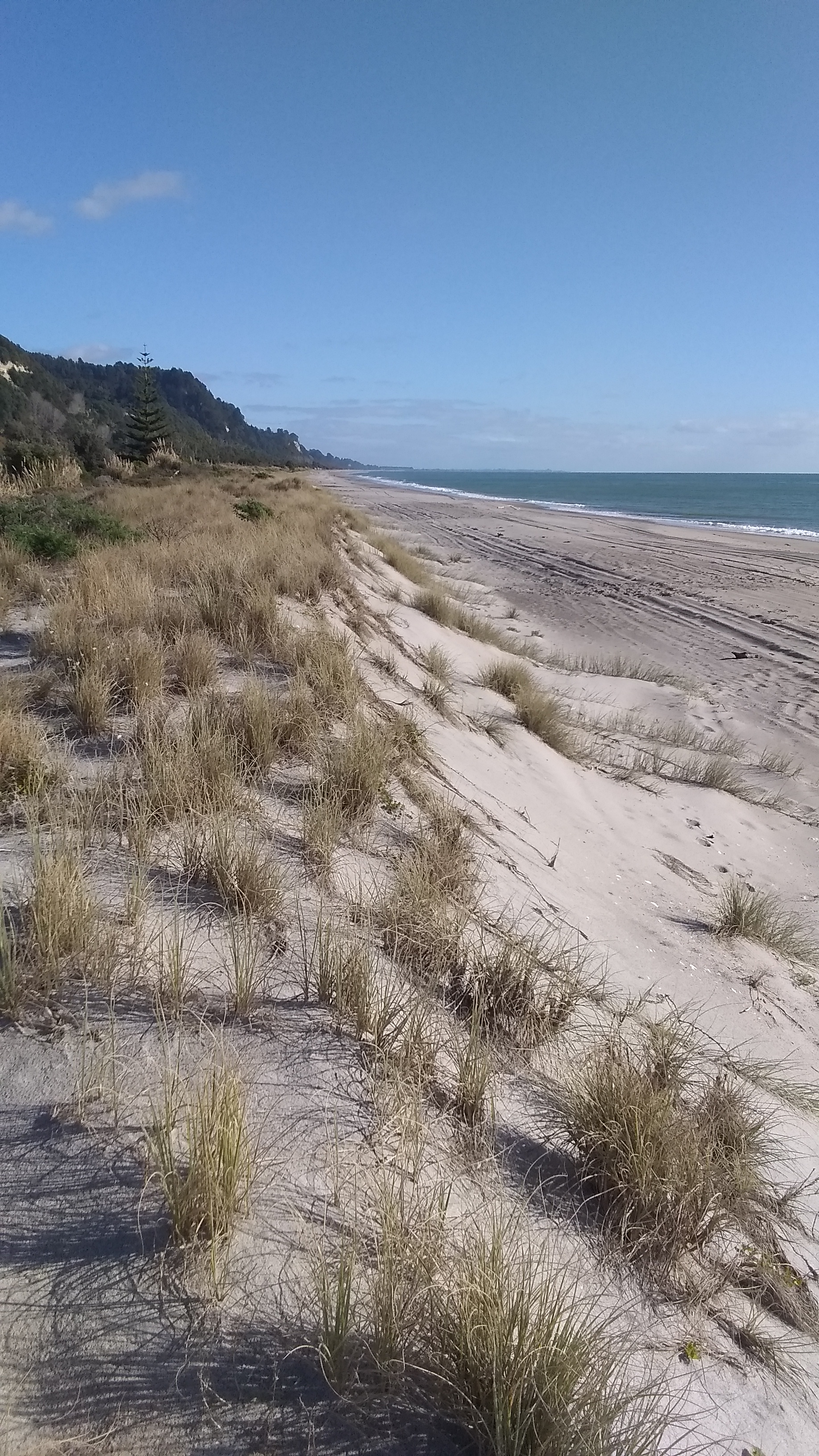 Matata Wildlife Lagoons and Beach: Winter Walk