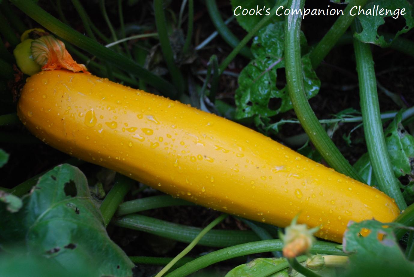 The Cook's Companion Challenge: 222/984 - Stuffed bush marrow with ...