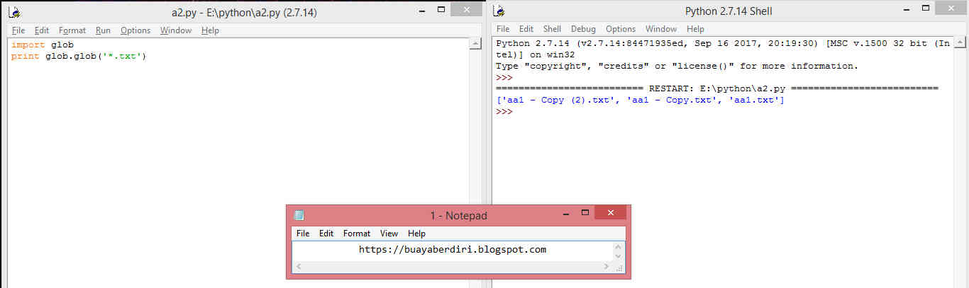 45.Belajar Bersama Python | glob.glob() python - Membuat Daftar Urutan ...
