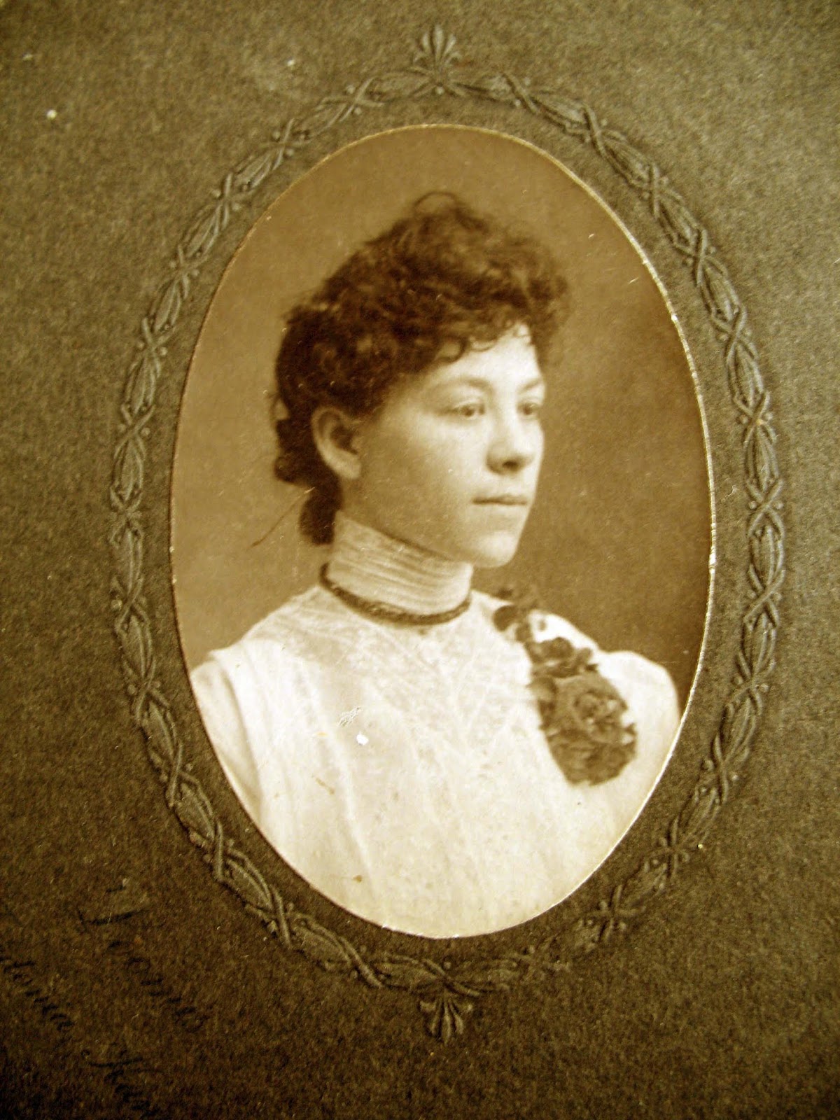 Leaves on the Raney Tree: September 2019