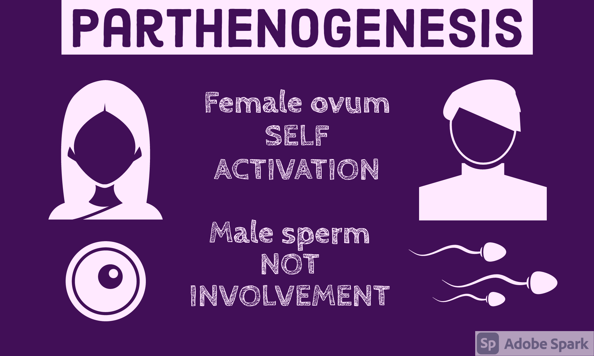 SCIENCE BEHIND BIRTH OF KARNA