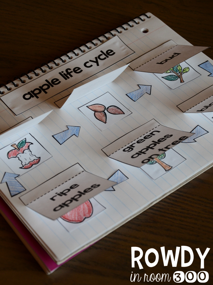 APPLES! Interactive notebooking - Rowdy in Room 300