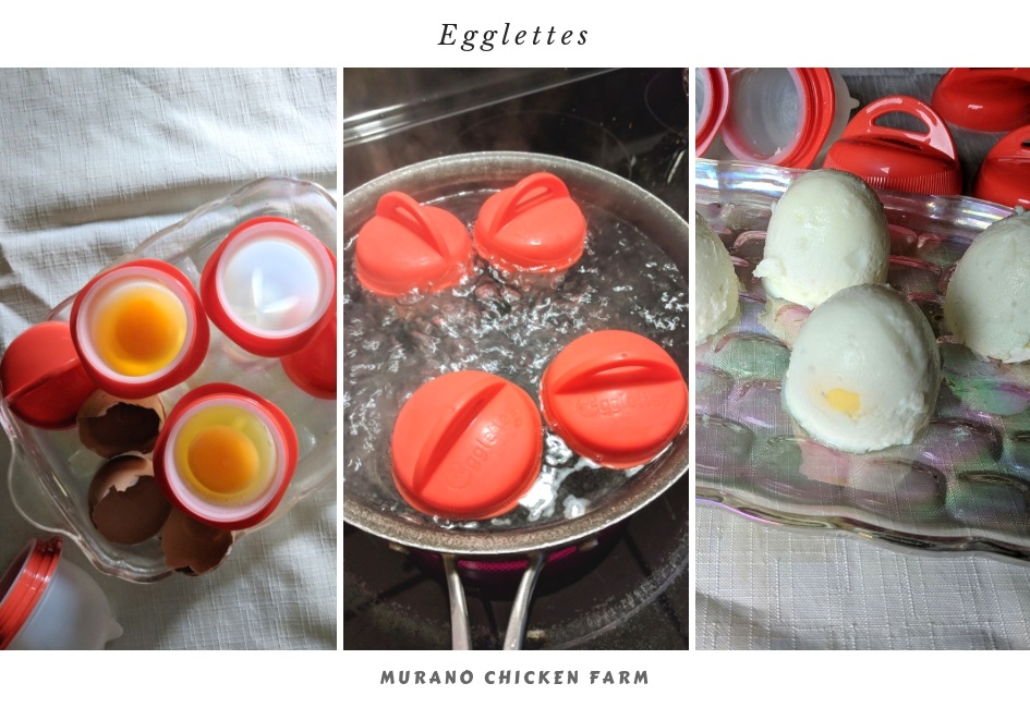 Do TV egg products work for farm eggs? - Murano Chicken Farm