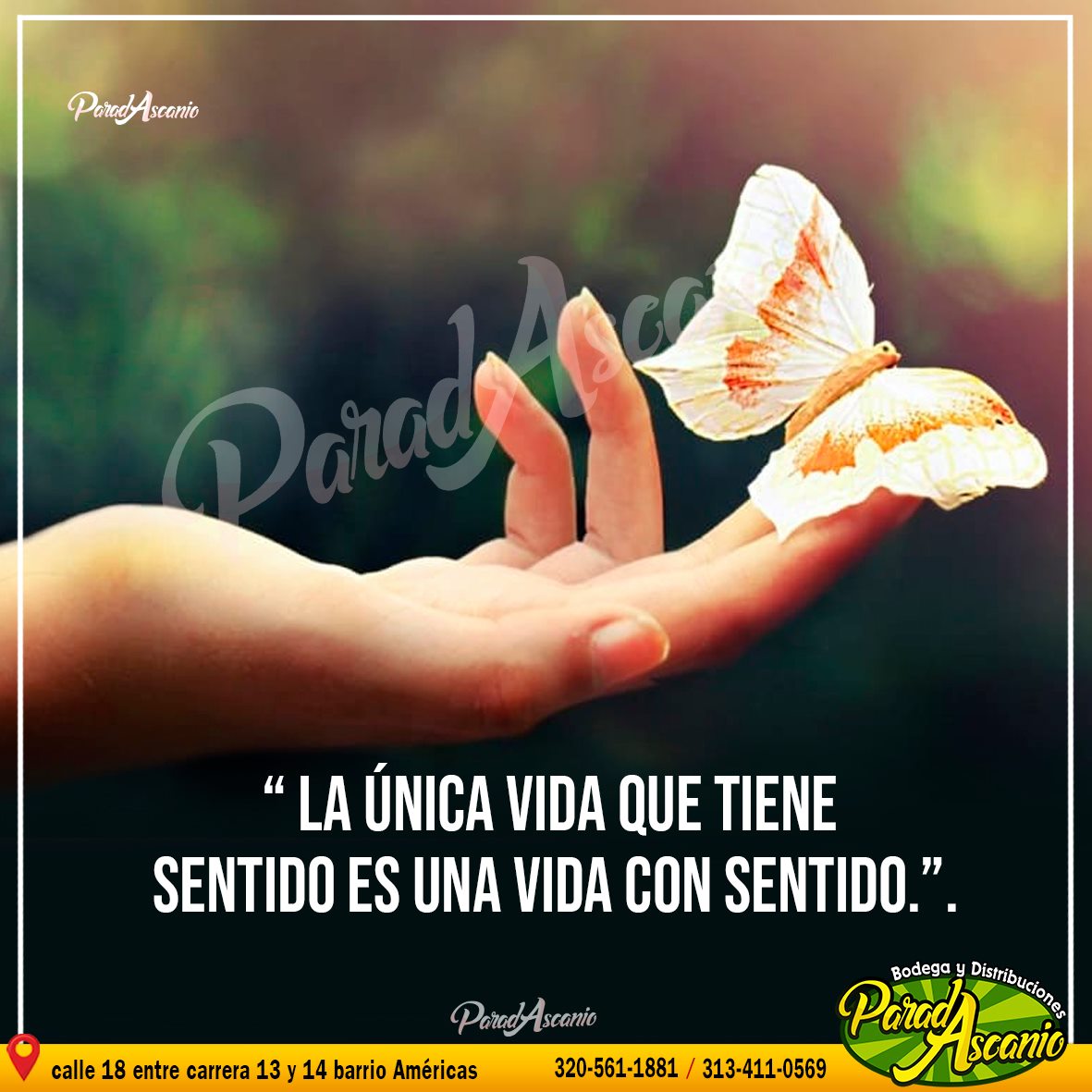 SALUD CON SENTIDOS: Frases, dichos, proverbios, oraciones y refranes ...