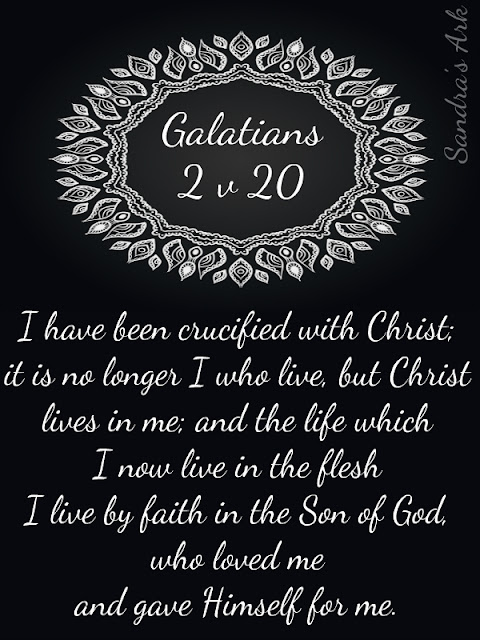 Sandra's Ark: Reading Through The Bible - GALATIANS