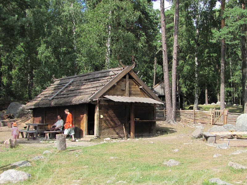 alizarine: The Viking heritage