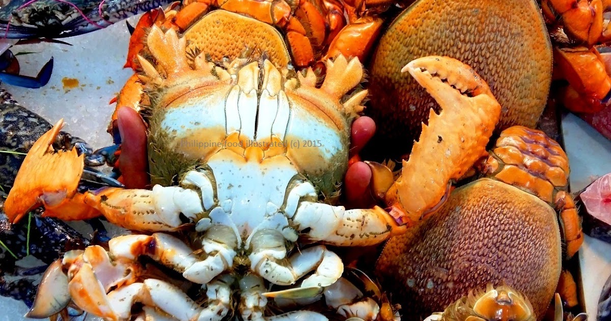 Philippine Food Illustrated: curacha