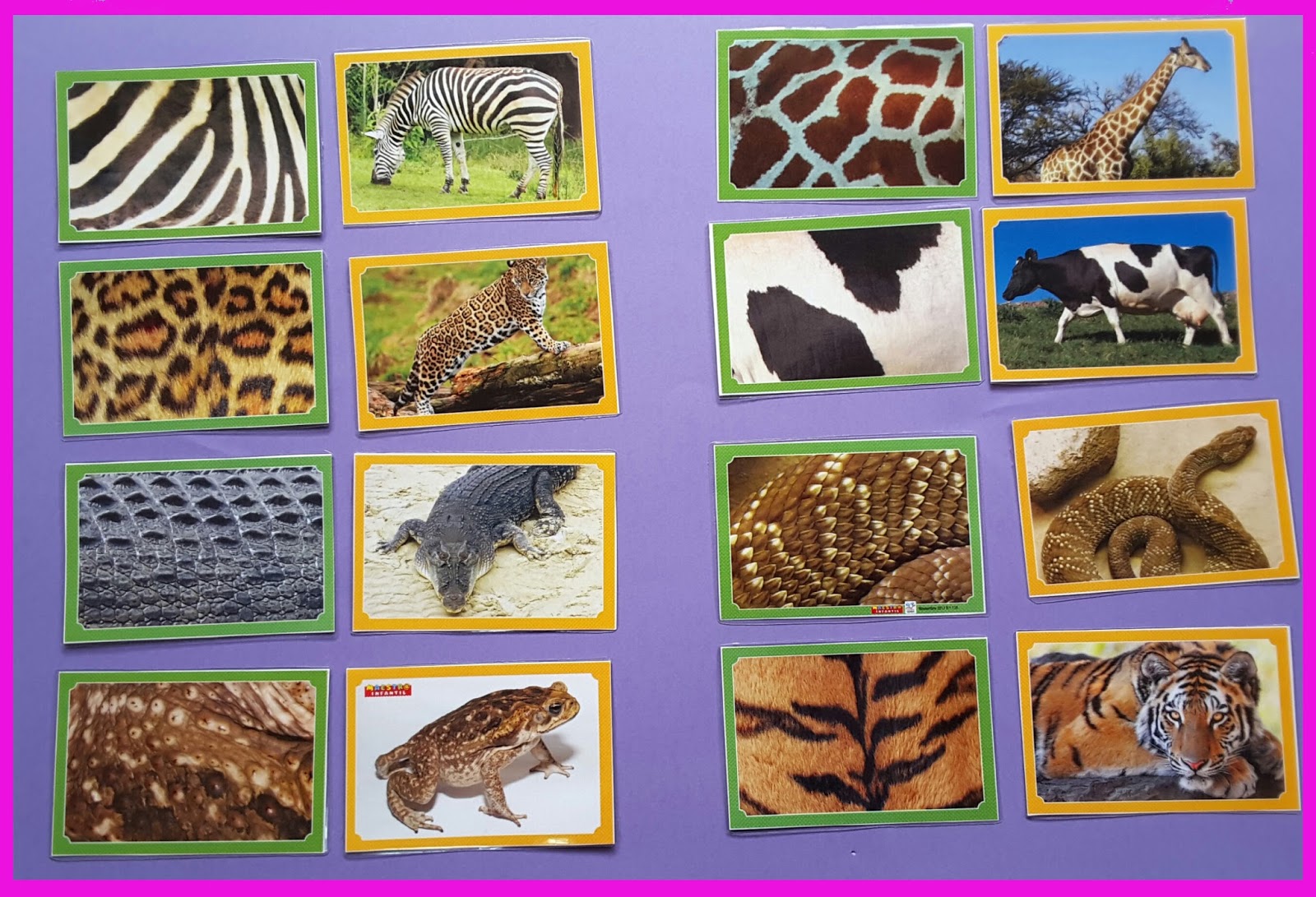 PASAR LA VIDA SONRIENDO: LOS ANIMALES