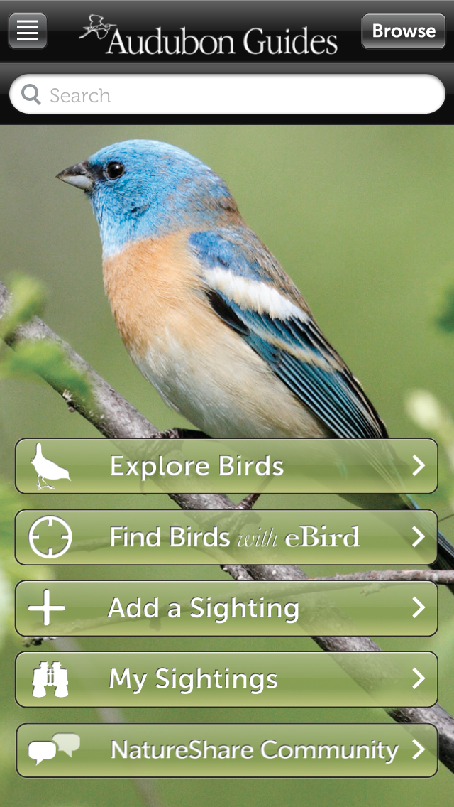 Birding Is Fun!: Audubon Birds App Update