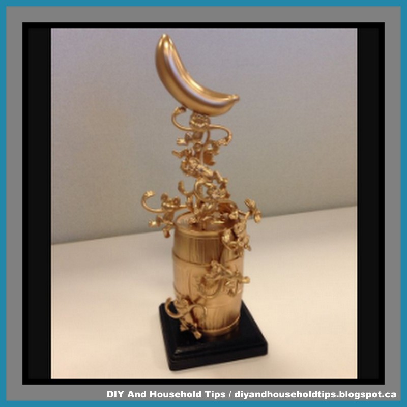 DIY And Household Tips: DIY Trophy