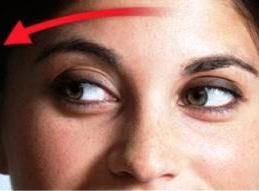 Nonverbal World - The World Without Words: The Look of Love?