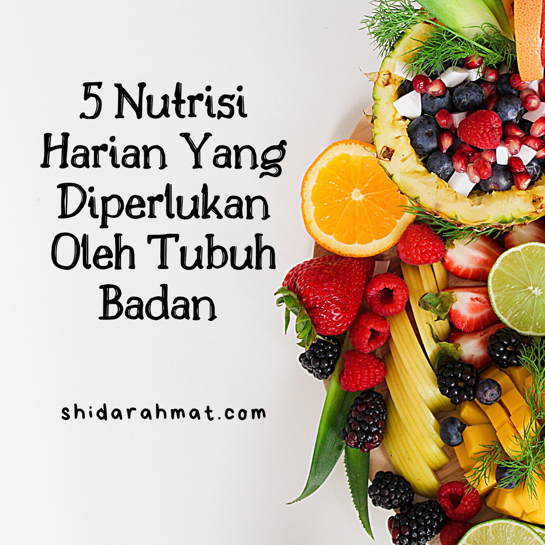 5 Nutrisi Harian Yang Diperlukan Oleh Tubuh Badan