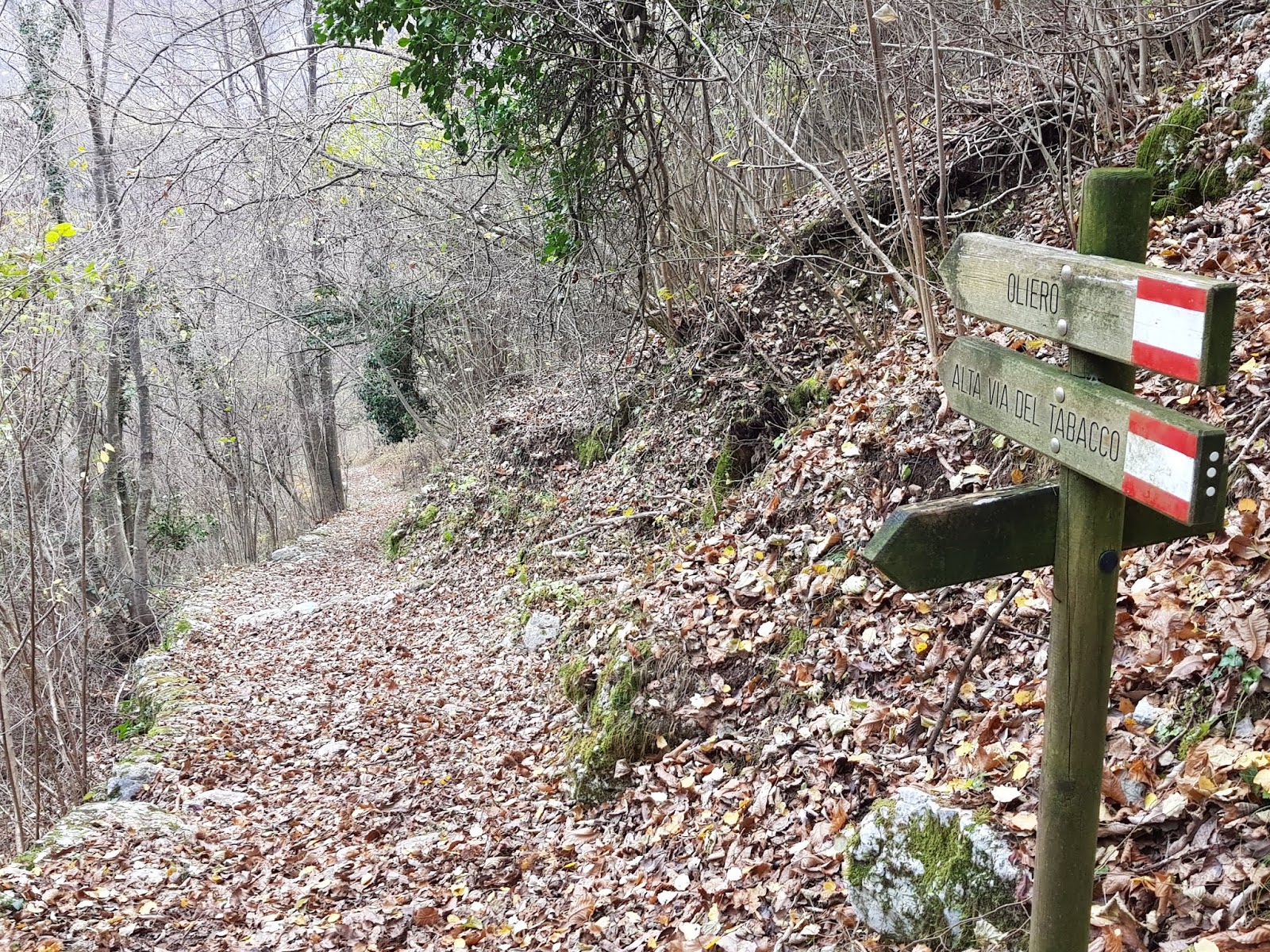 Su strade e sentieri: COL D'ASTIAGO (m. 1.241) - SENTIERO DEL VU - Val ...