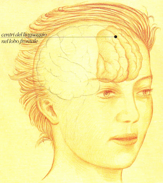 LOGOPATIA - LOGOPEDIA - Blog di pociopocio