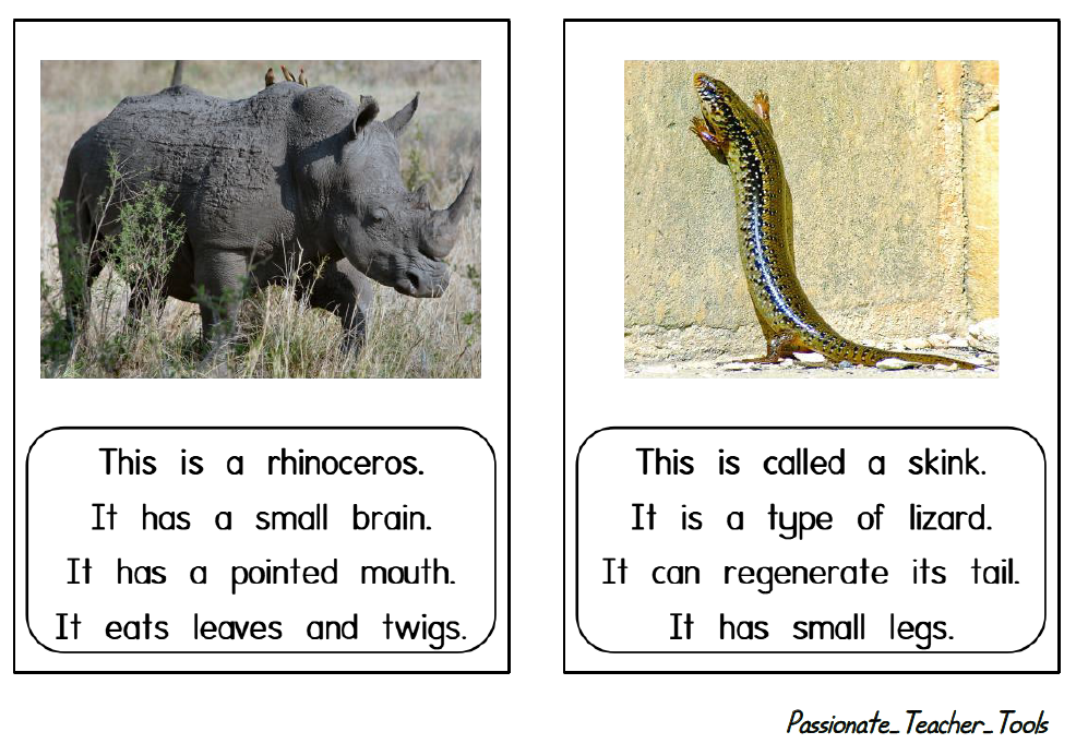 Passionate Teacher Tools: Wild Animals Reading Cards Set 2 (14 pages)