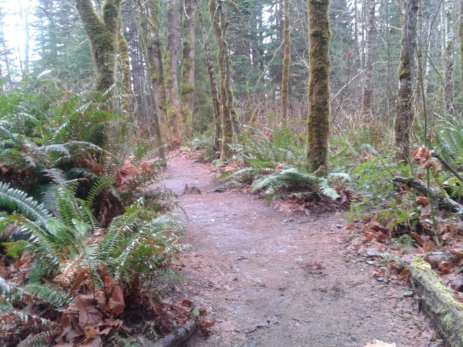 Urban Trailseeker: Hiking Trip Report: Little Si, Boulder Garden Loop